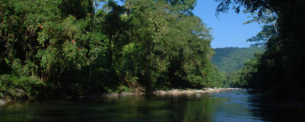 Proyecto de Conservacion del Rio Bigal | Reserva Biológica del Río Bigal